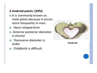 Type of-pelvis | PPT