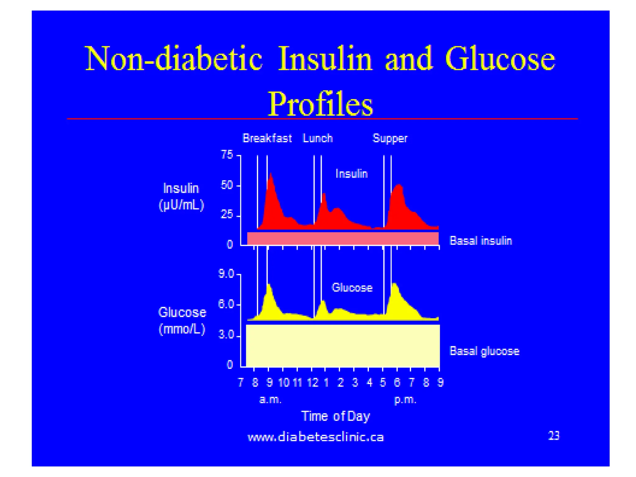 Type 1 Diabetes and Insulin UG Classes.pptx