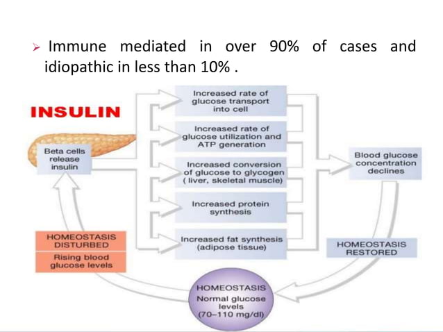 Type 1 diabetes mellitus | PPTX