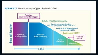 Type 1 DM prevention stage and prevention | PPTX