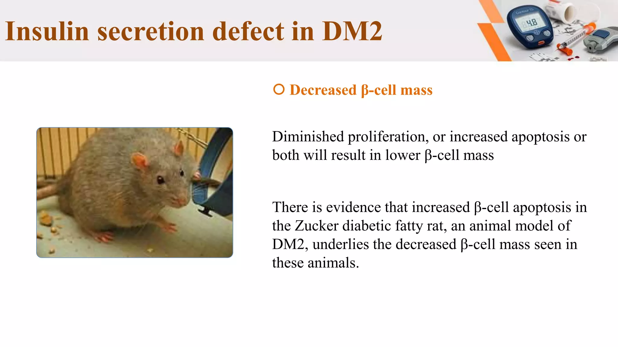 Type 2 diabetes pathogenesis | PPTX