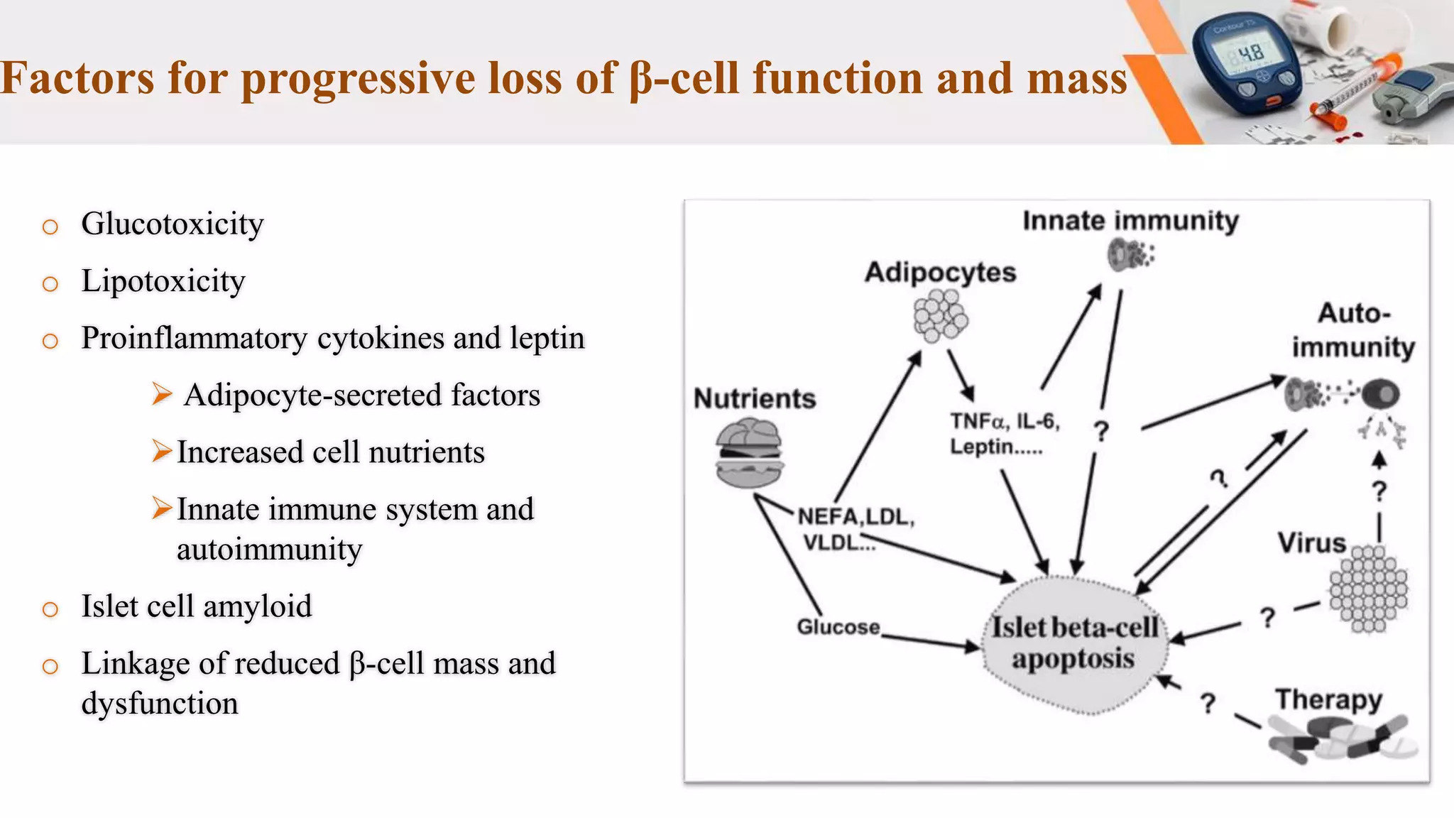 Type 2 diabetes pathogenesis | PPTX | Endocrine and Metabolic Diseases ...