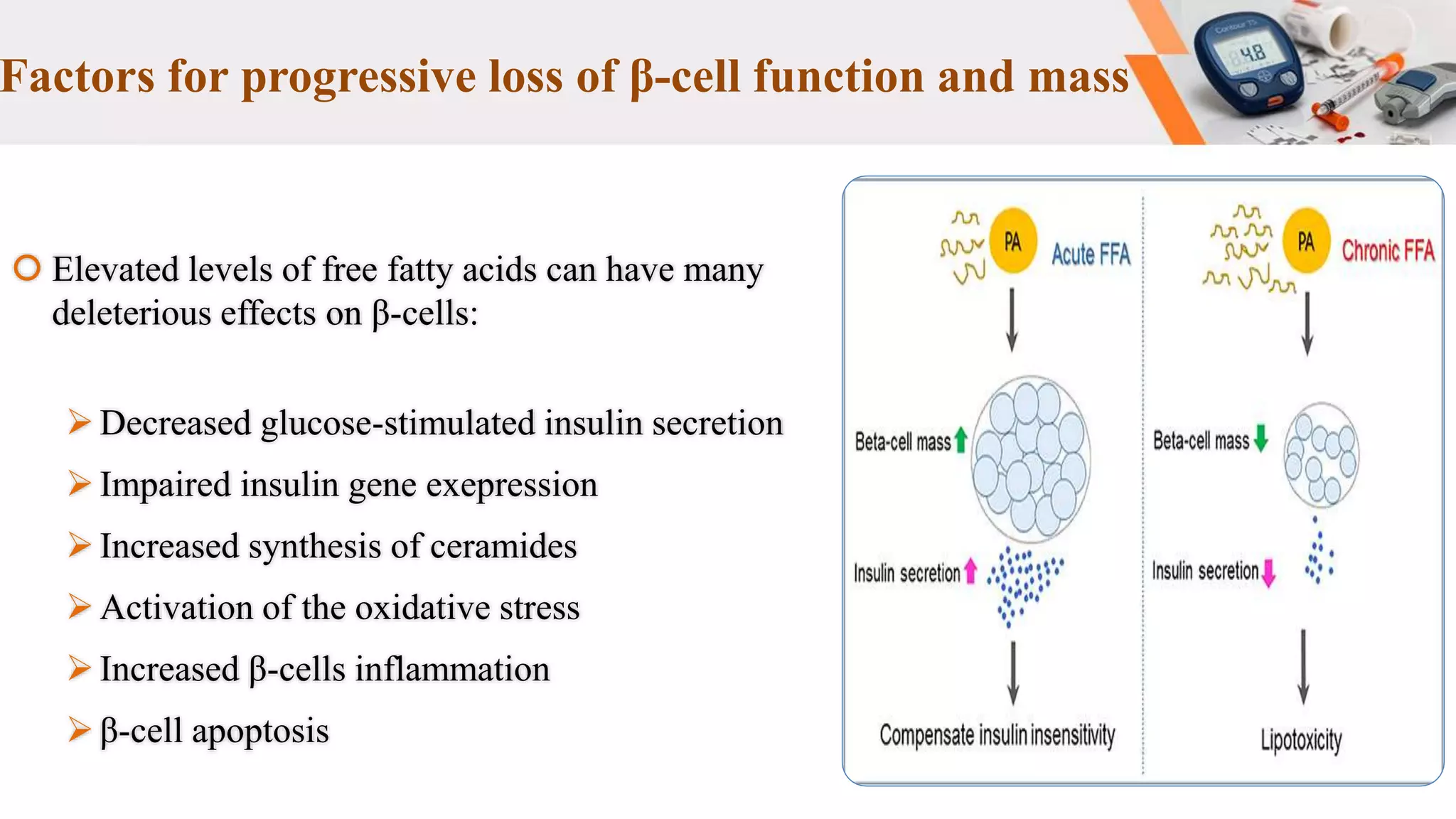 Type 2 diabetes pathogenesis | PPTX