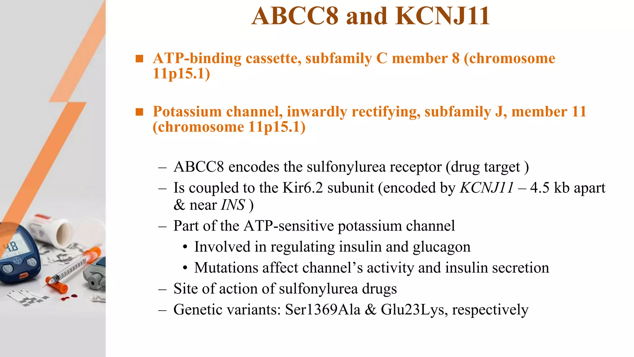 Type 2 diabetes pathogenesis | PPTX