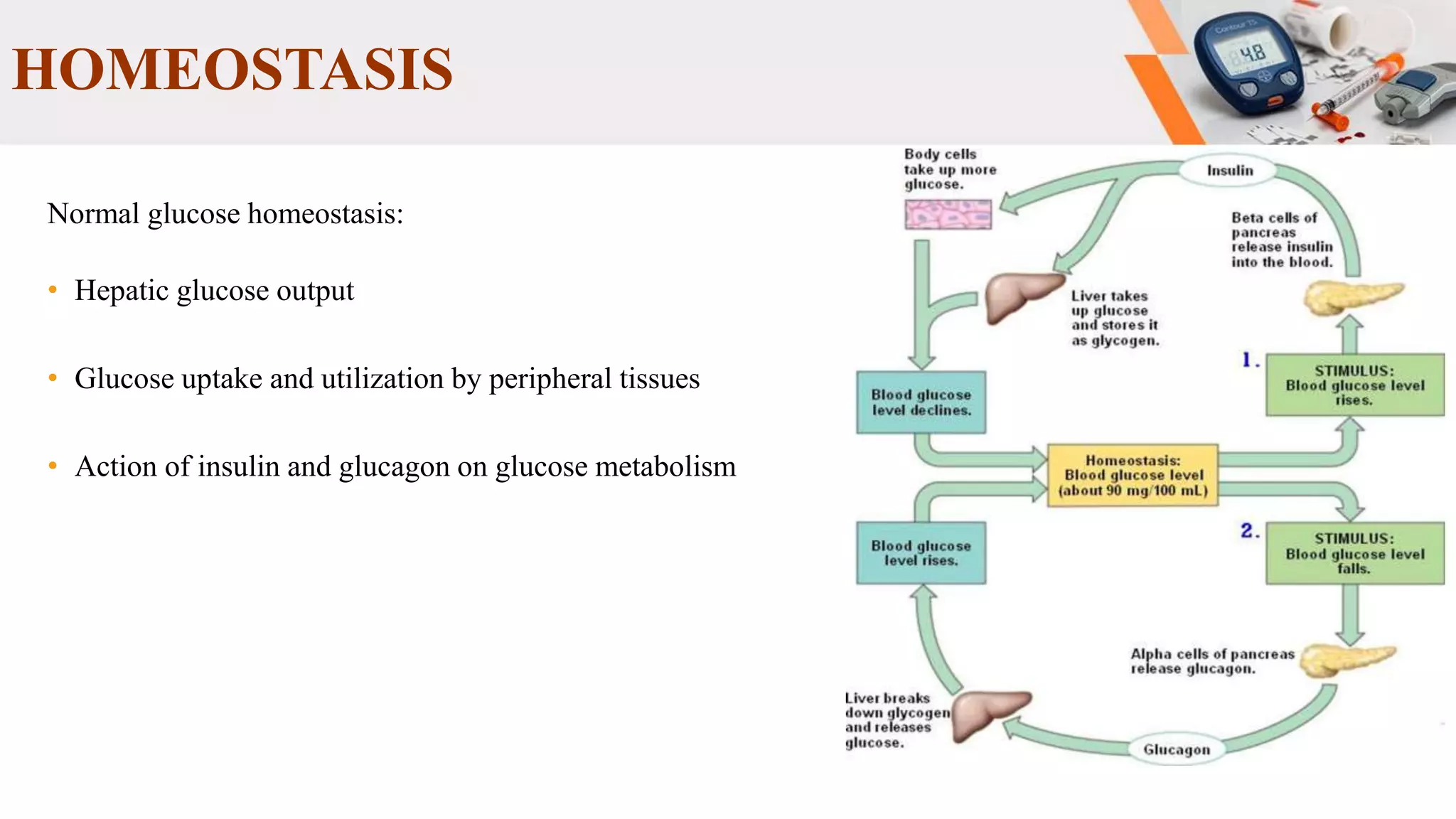 Type 2 diabetes pathogenesis | PPTX | Endocrine and Metabolic Diseases ...
