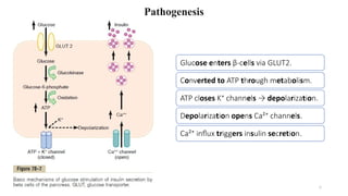 “Type 2 Diabetes Mellitus: From Pathogenesis to Clinical Complications ...