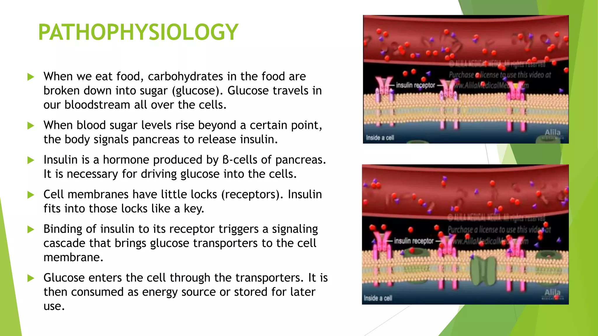 type 2 diabetes mellitus | PPTX