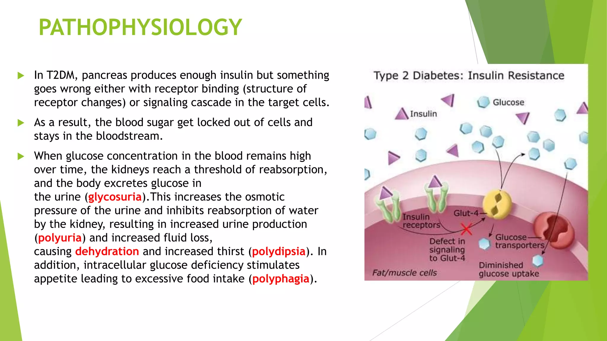 type 2 diabetes mellitus | PPTX