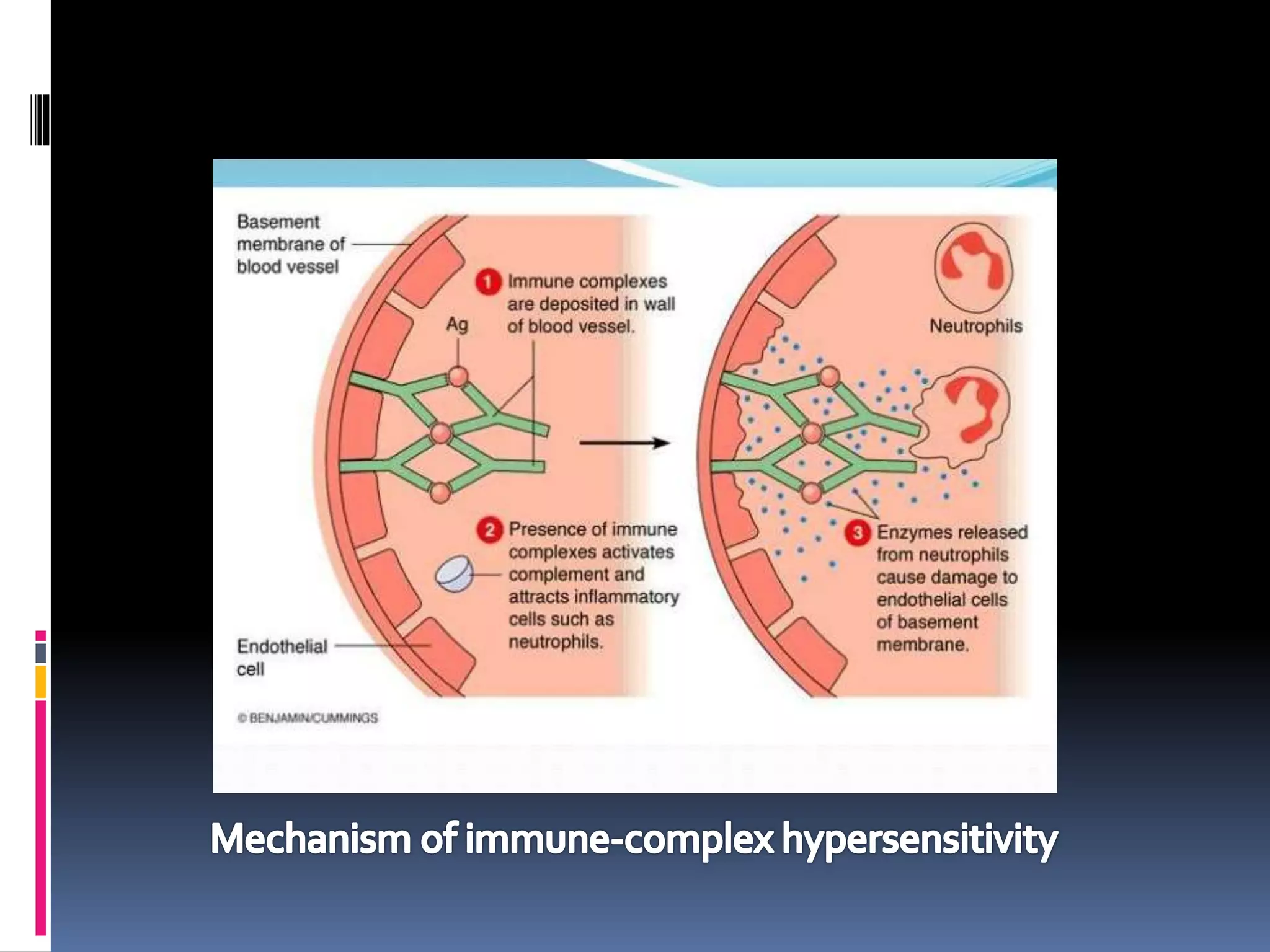 Type 3 hypersensitivity 1728.pptx