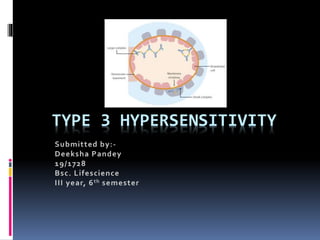 Type 3 hypersensitivity 1728.pptx