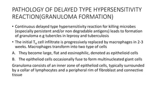 TYPE 4 HYPERSENSITIVITY, FINAL.pdf. . | PDF