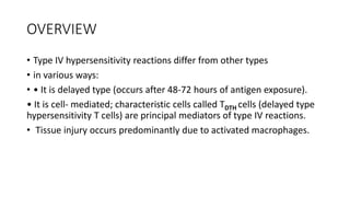 TYPE 4 HYPERSENSITIVITY, FINAL.pdf. . | PDF