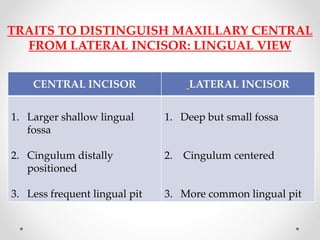 TYPE and Arch TRAITS OF InNCISORS.pptx