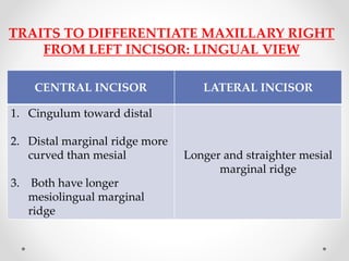 TYPE and Arch TRAITS OF InNCISORS.pptx