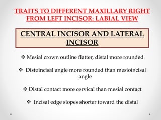 TYPE and Arch TRAITS OF InNCISORS.pptx