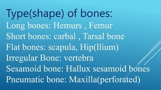 Type and articulations of Lower limb.pptx | Death, Injury, or Military ...