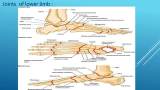 Type and articulations of Lower limb.pptx