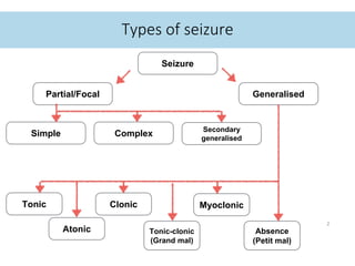 Seizure Types Chart
