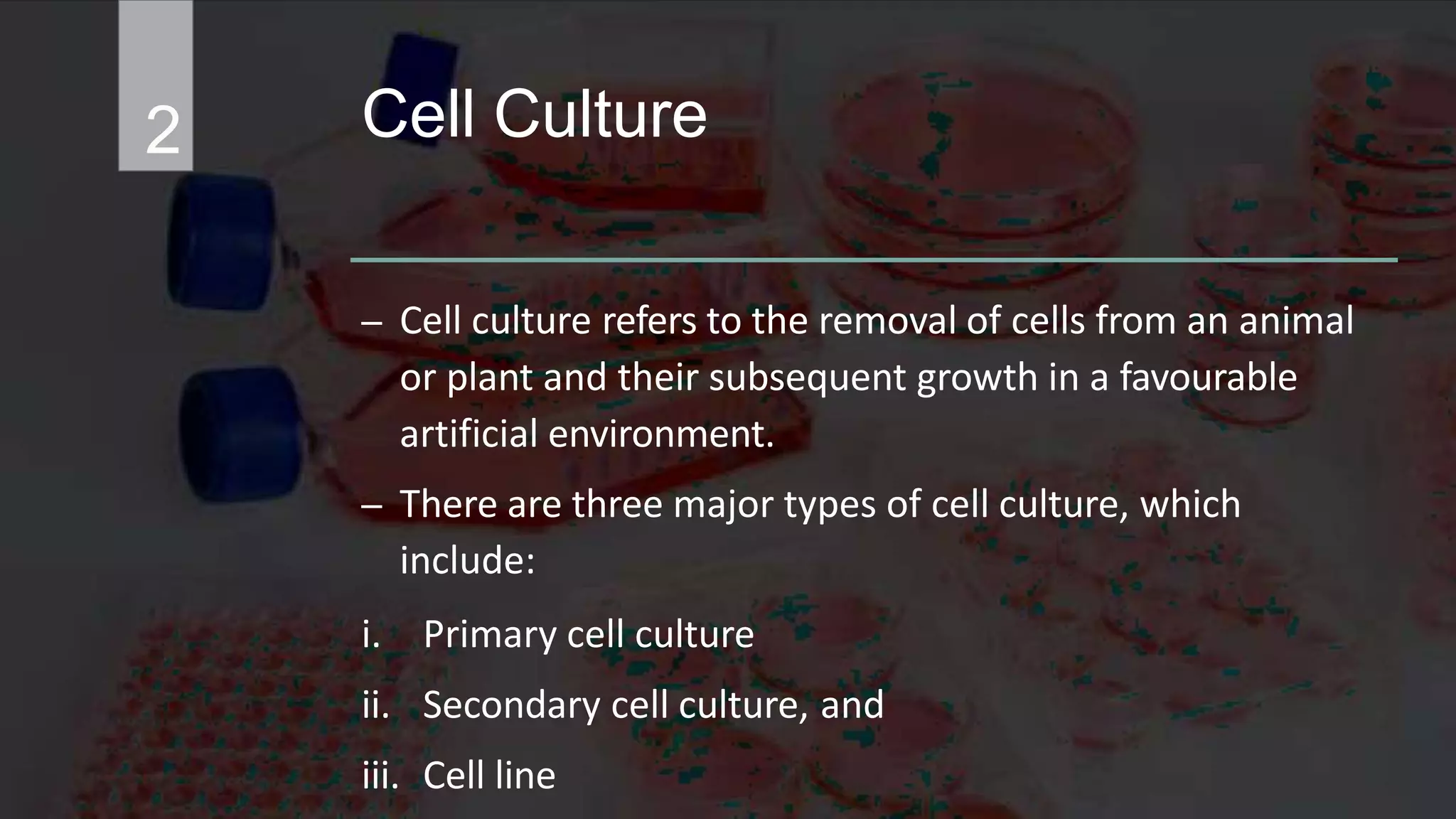 Type cultures and cell lines | PPTX