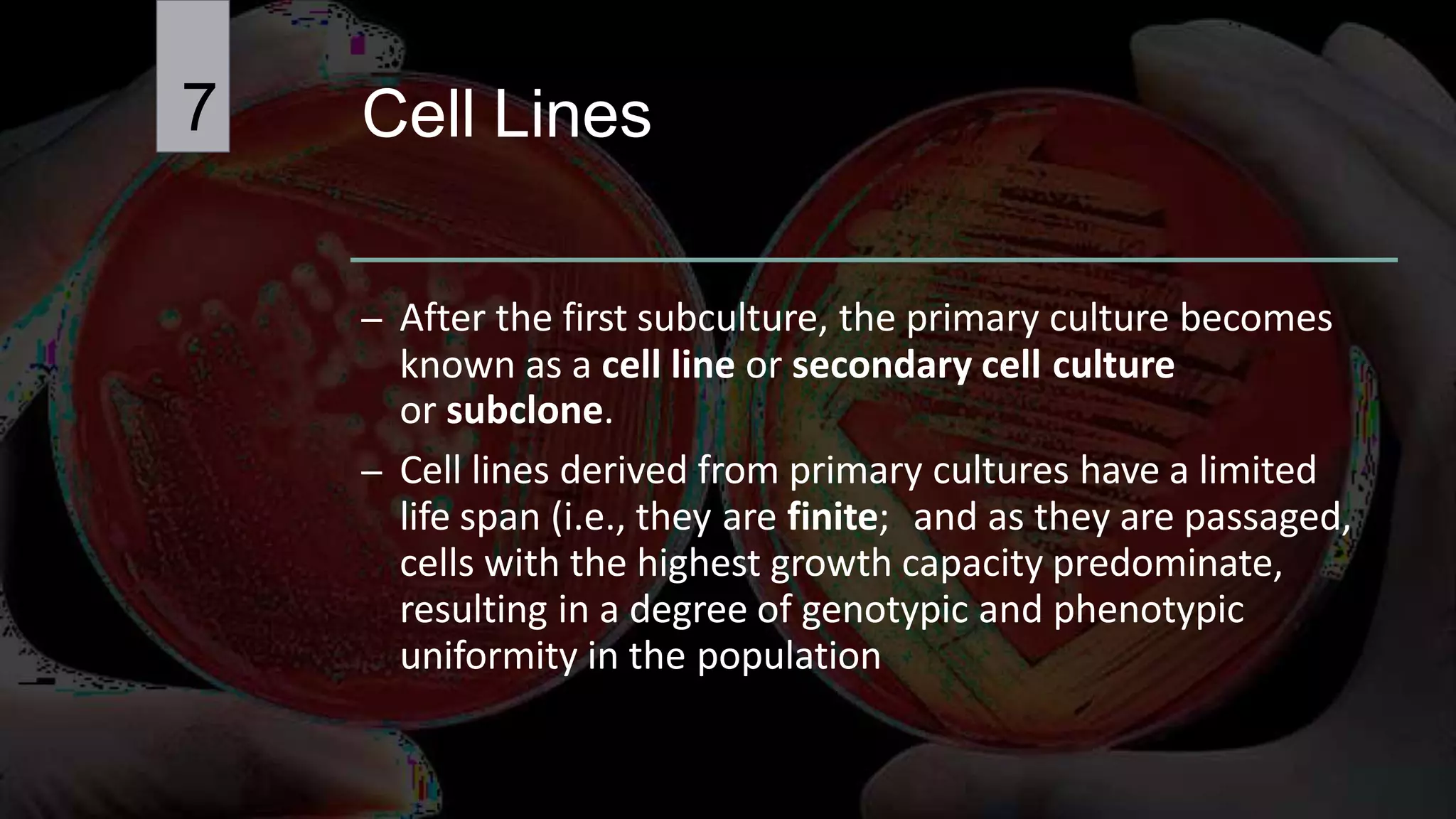 Type cultures and cell lines | PPTX