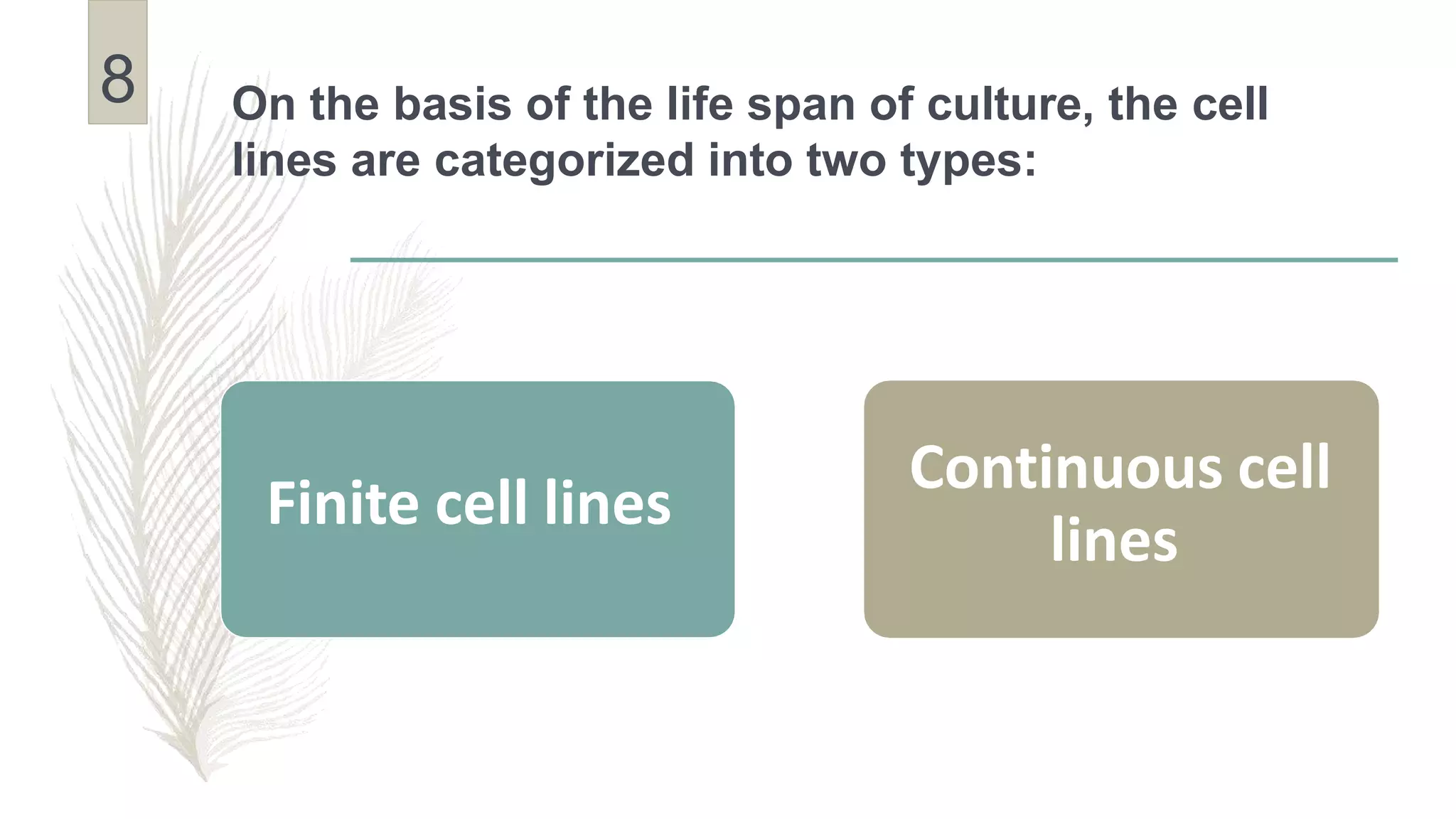 Type cultures and cell lines | PPTX