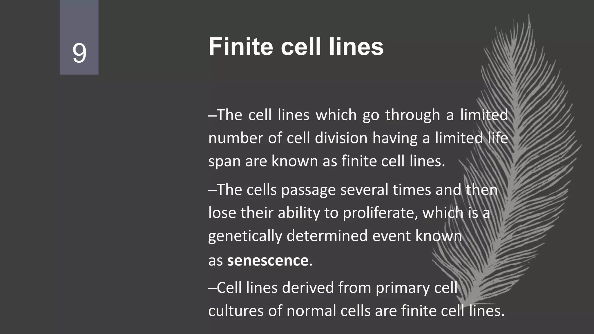 Type cultures and cell lines | PPTX