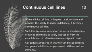 Type cultures and cell lines | PPTX