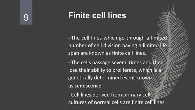 Type cultures and cell lines | PPTX | Biological Sciences | Science