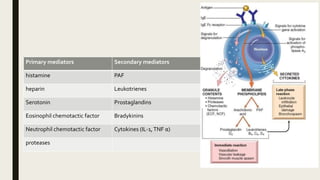 Type i hypersensitivity | PPT