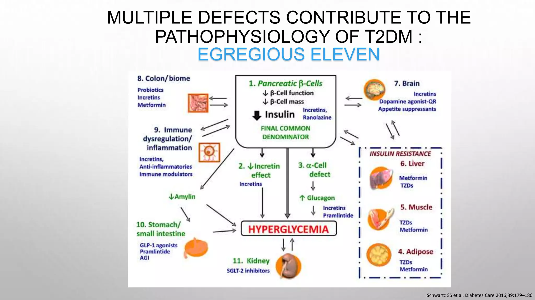 TYPE II DIABETES MELLITUS.pptx