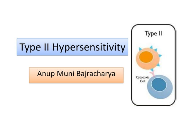 Type II Hypersensitivity-Antibody mediated cytotoxic Hypersensitivity | PDF