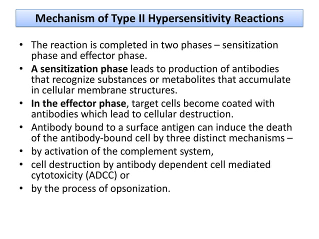 Type II Hypersensitivity-Antibody mediated cytotoxic Hypersensitivity | PDF