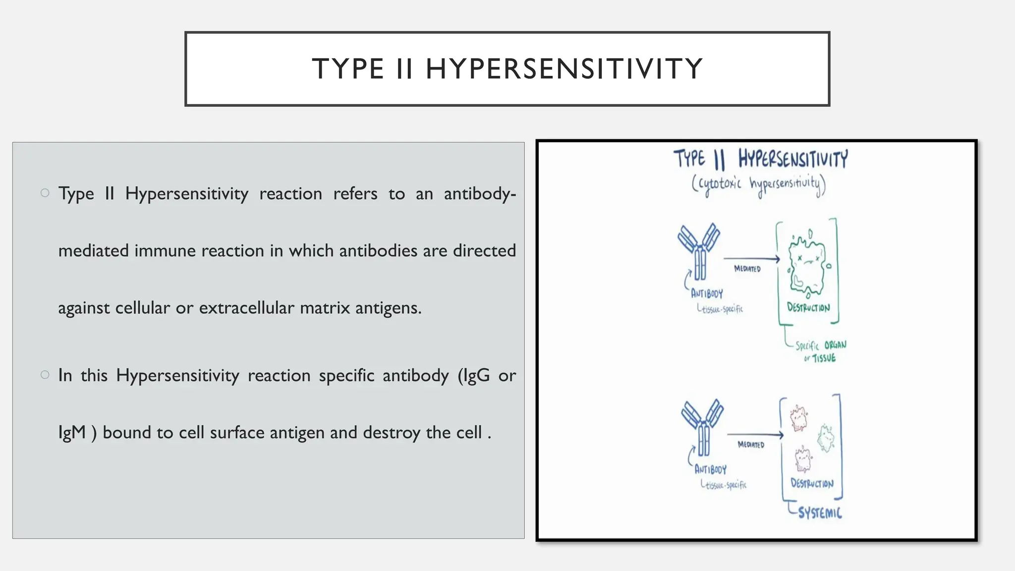 Type II Hypersensitivity Reaction: Mechanism, Examples and Clinical ...