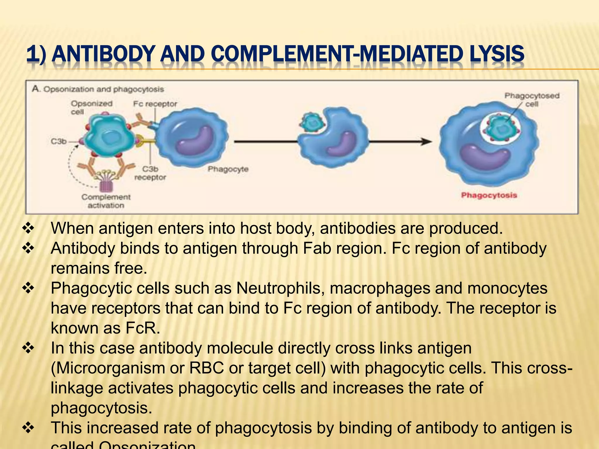 Type II hypersensitivity reaction.pptx