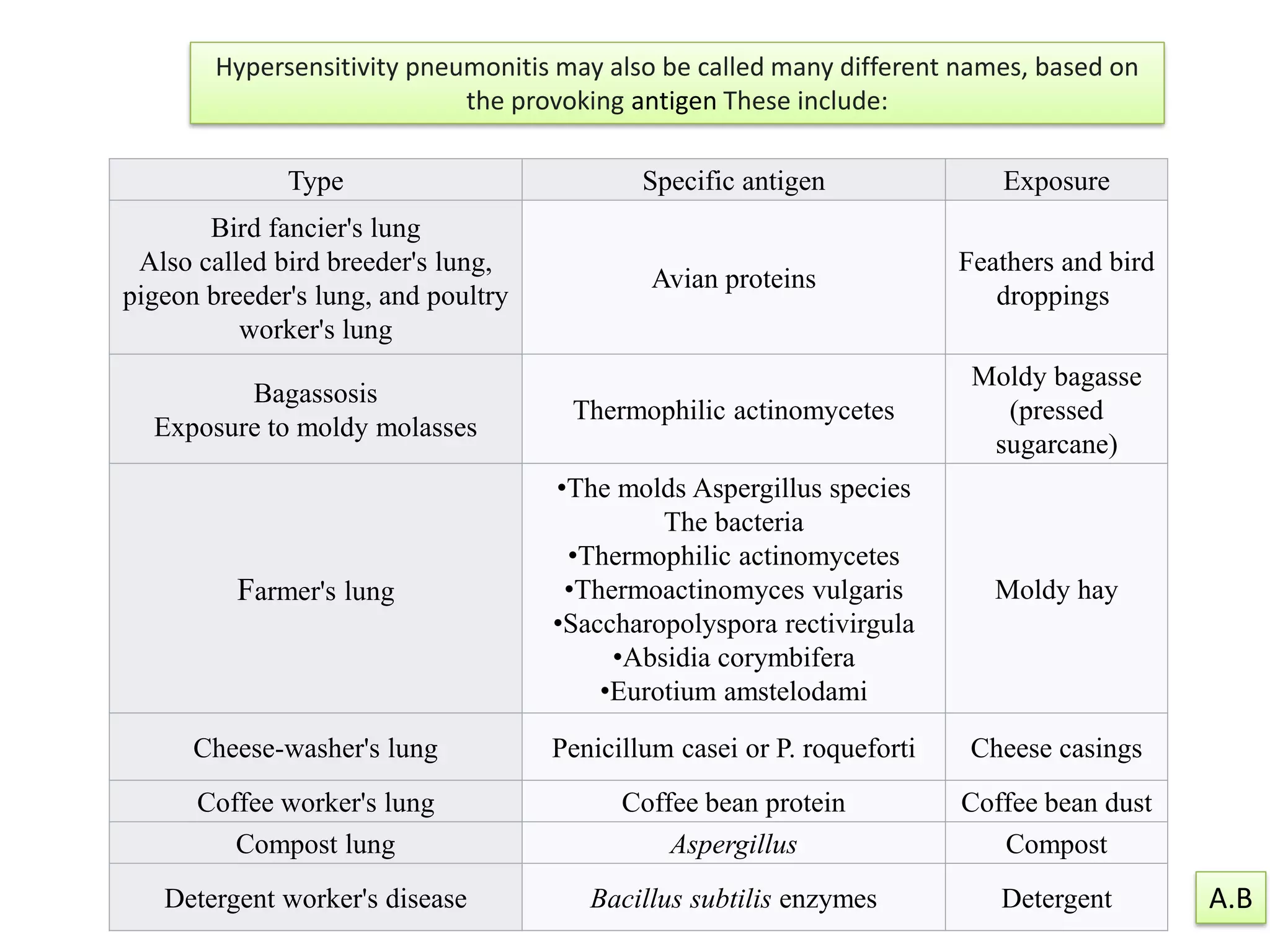 Type III Hypersensitivity | PDF