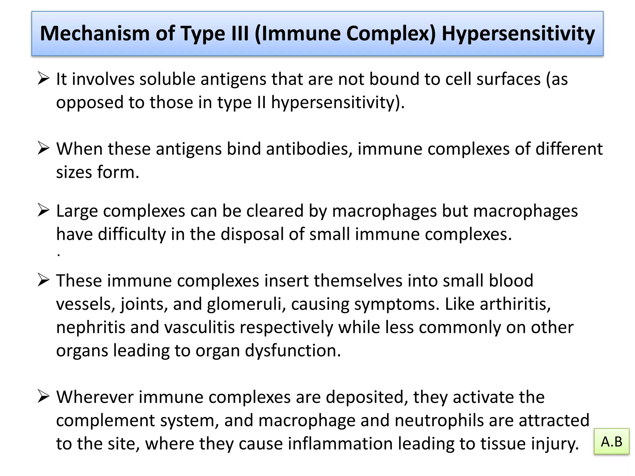 Type III Hypersensitivity | PDF