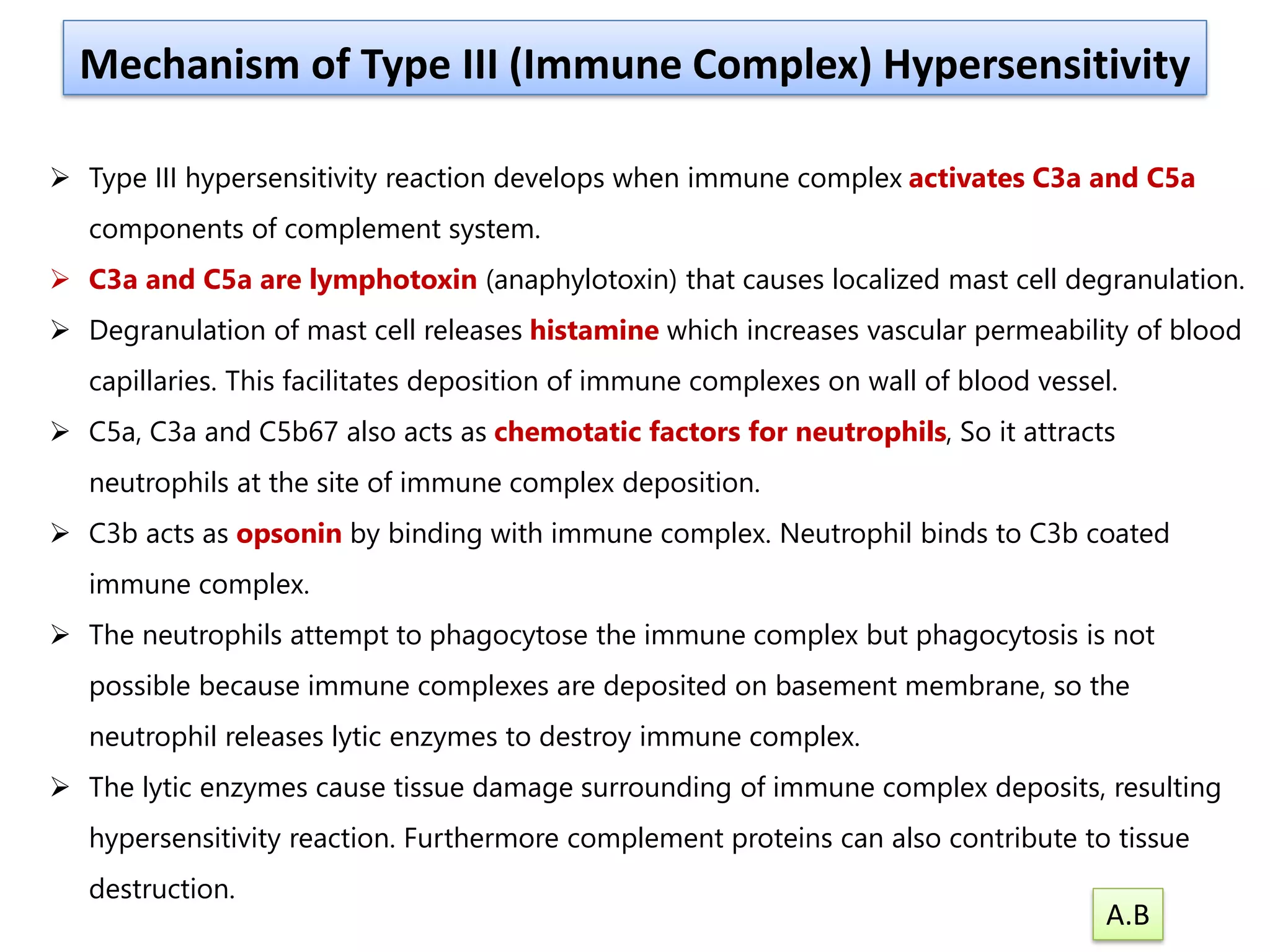 Type III Hypersensitivity | PDF