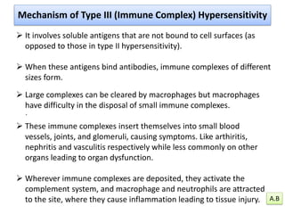 Type III Hypersensitivity | PDF