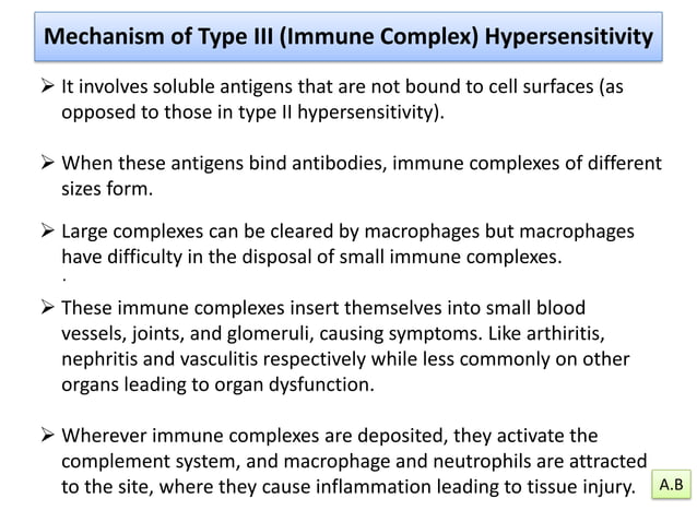 Type III Hypersensitivity | PDF | Blood Disorders | Diseases and Conditions