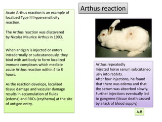 Type III Hypersensitivity | PDF