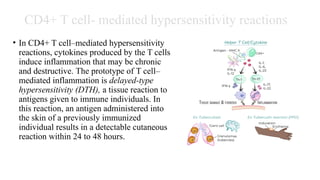 TYPE III AND TYPE IV HYPERSENSITIVITY REACTIONS SEMNAR.pptx