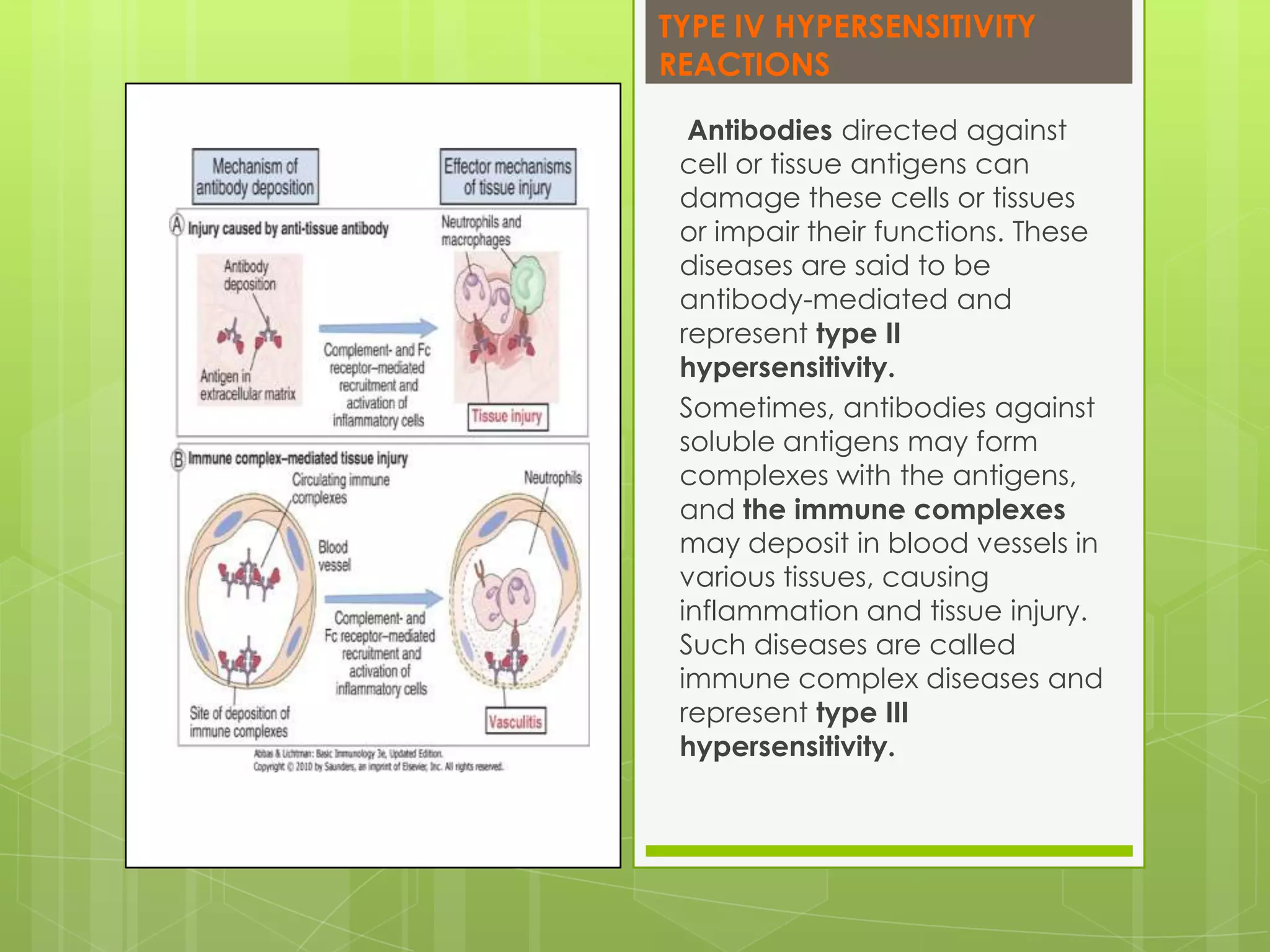 Type iv hypersensitivity reactions | PPTX