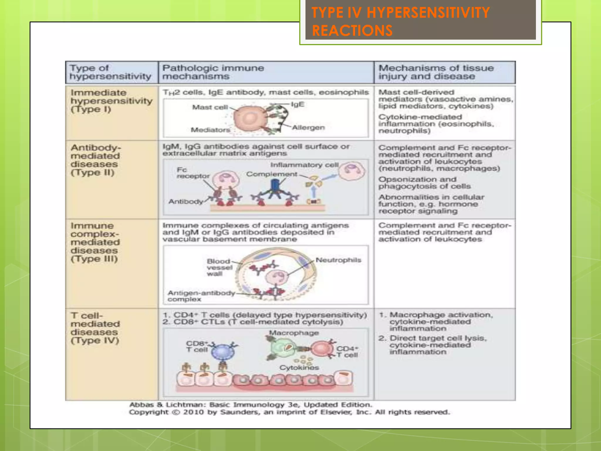 Type iv hypersensitivity reactions | PPTX