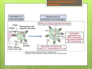 Type iv hypersensitivity reactions | PPTX