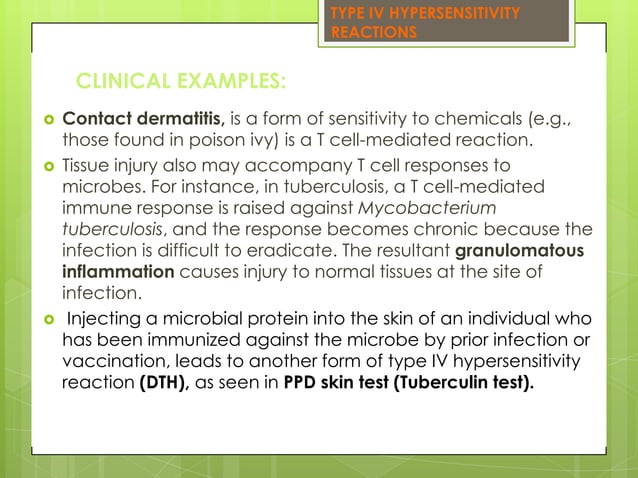 Type iv hypersensitivity reactions | PPTX