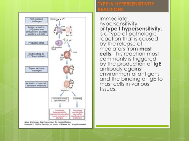 Type iv hypersensitivity reactions | PPTX