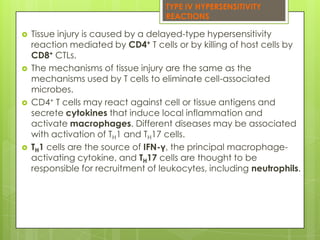 Type iv hypersensitivity reactions | PPTX
