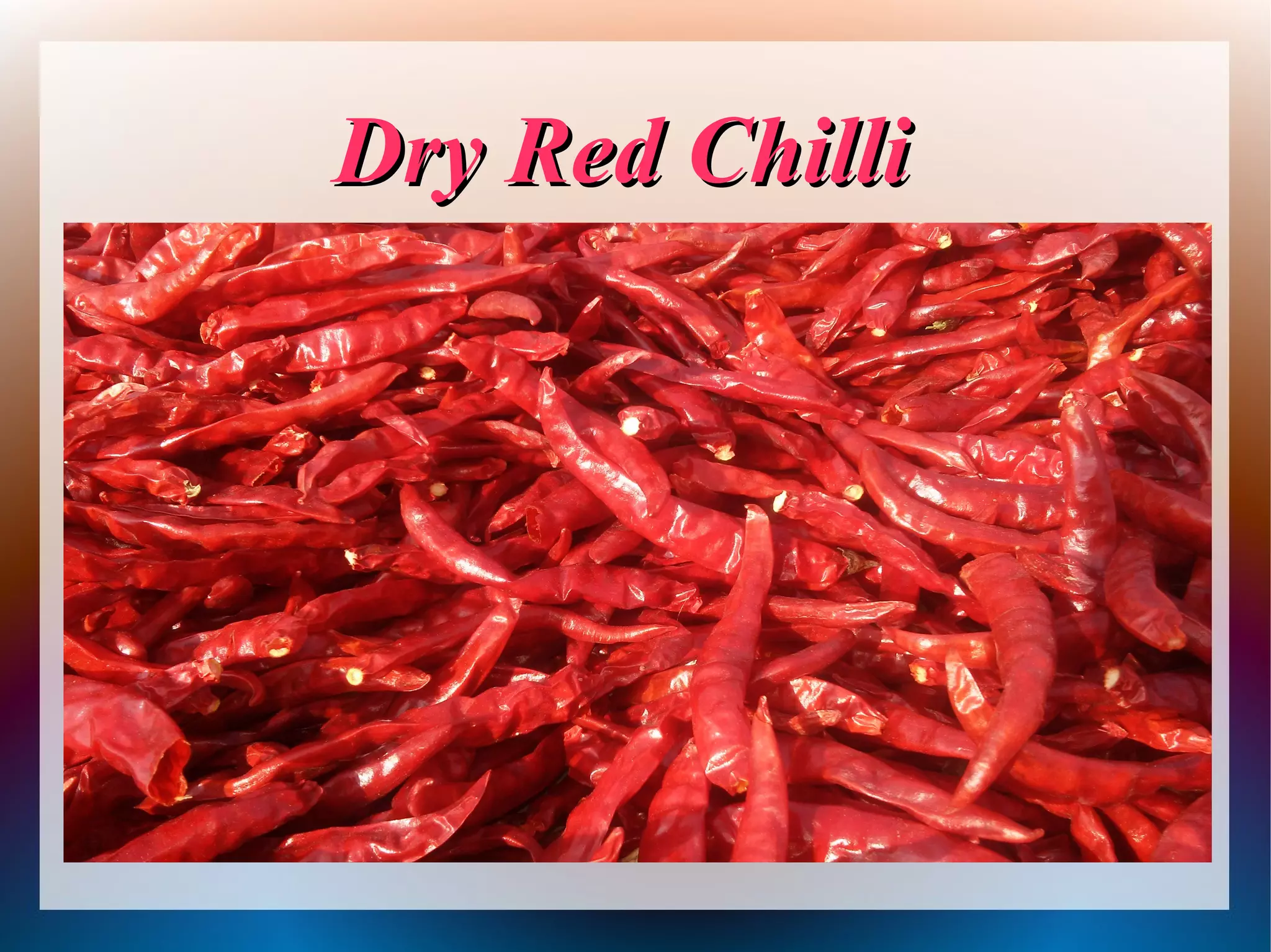 Type of Dry Red Chilli and Its Uses | ODP