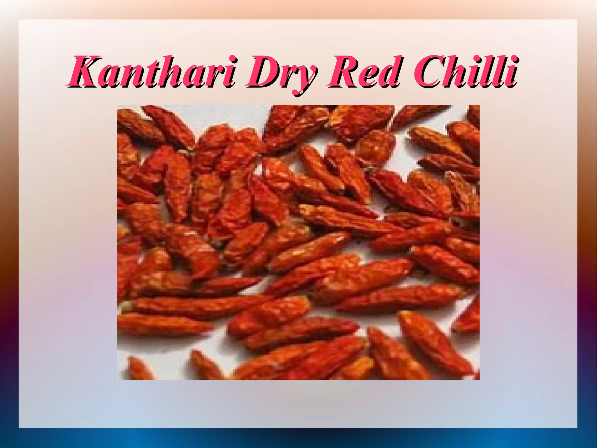 Type of Dry Red Chilli and Its Uses | ODP