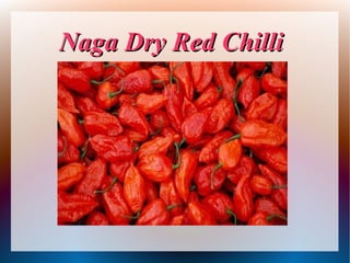 Type of Dry Red Chilli and Its Uses | ODP